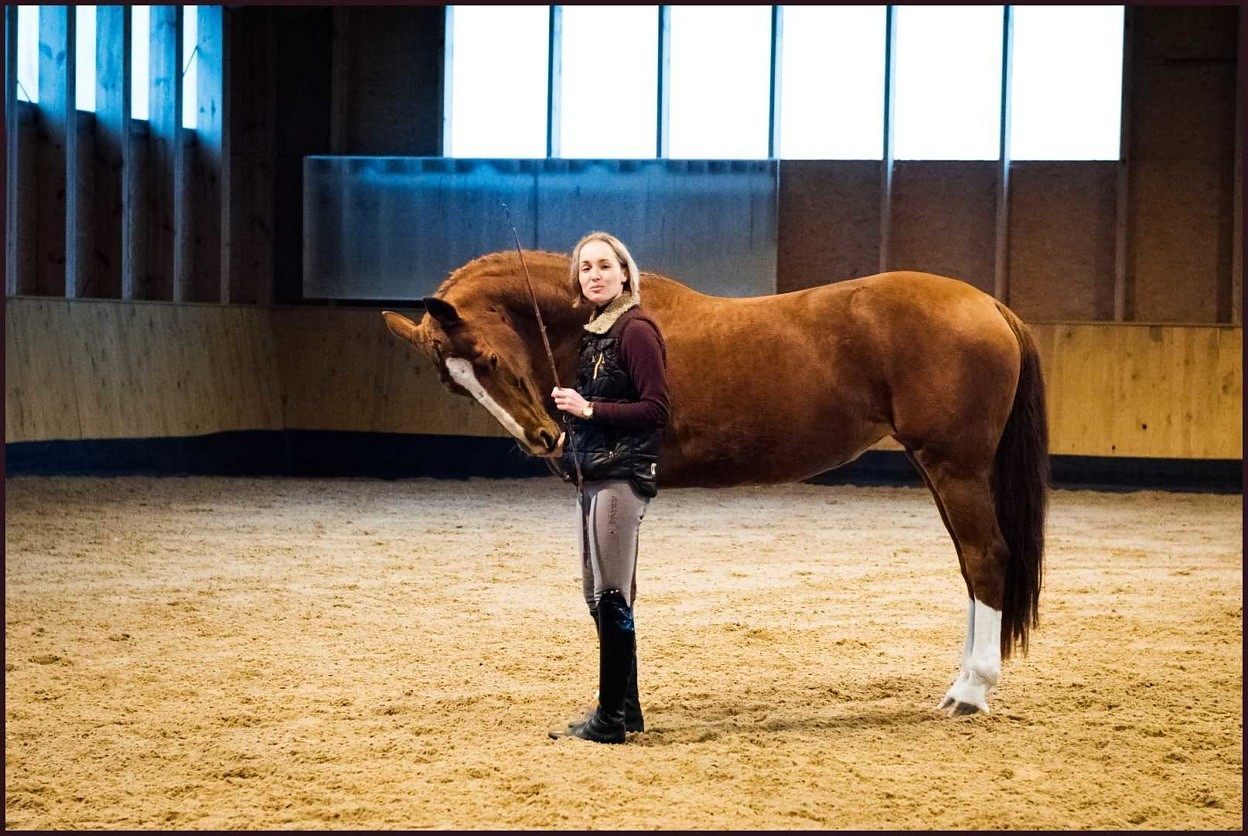 Wiwien-intro2 - OneHorseLife